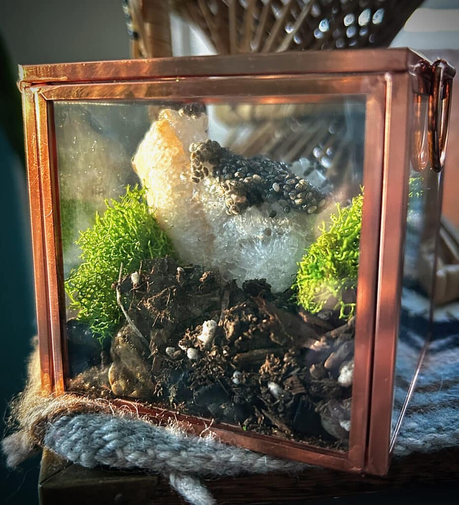 Chia Crystal Kit ⋆ Salem Plant Witch